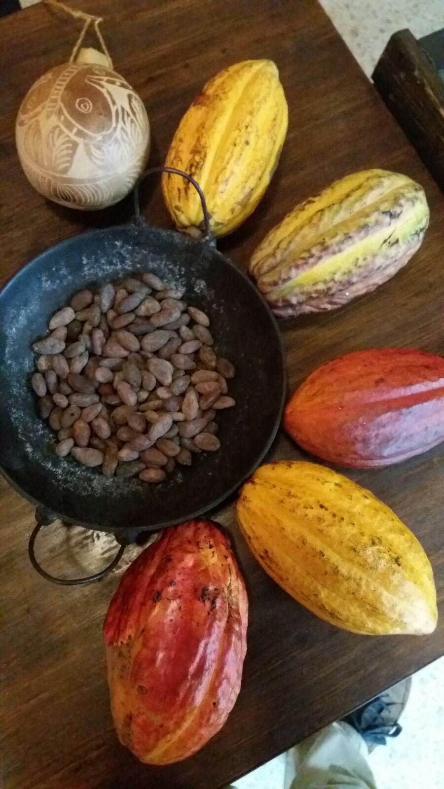 L'Histoire du cacao au Costa Rica - La Casa del Cacao