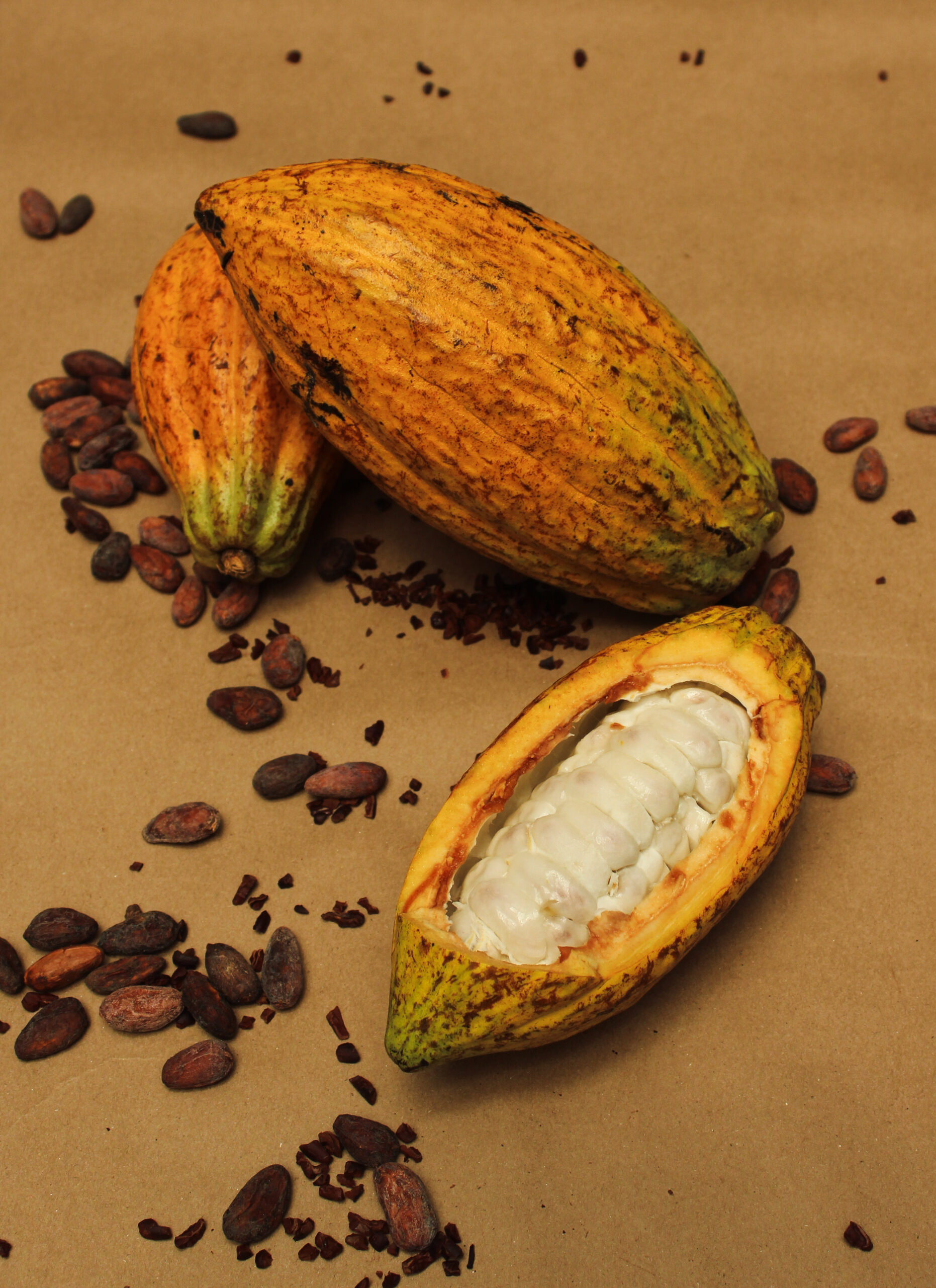 La Historia del Cacao en Costa Rica - La Casa del Cacao